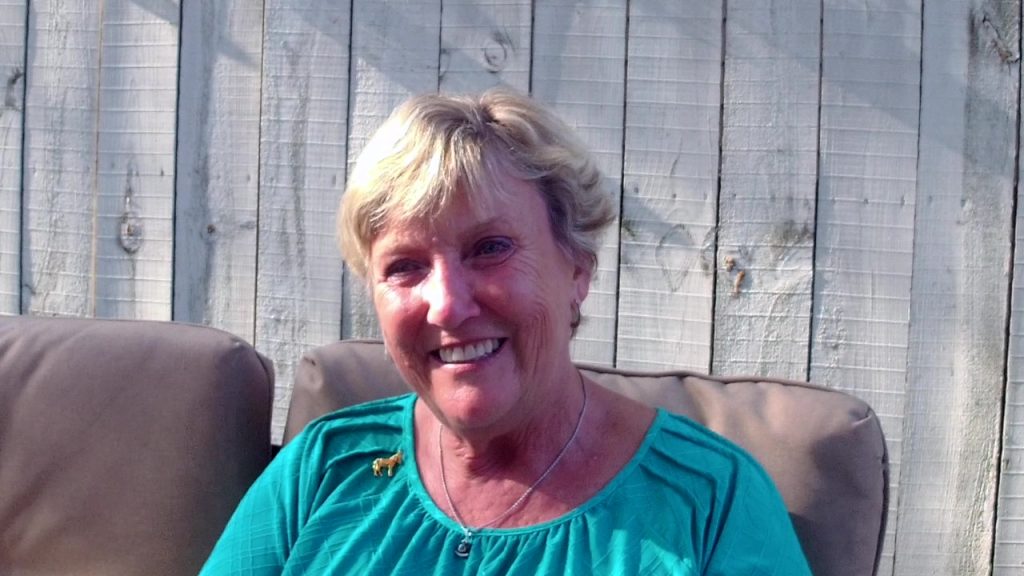 Cherryl Fritz Strathmann, Candidate for Kane County Board, District 20